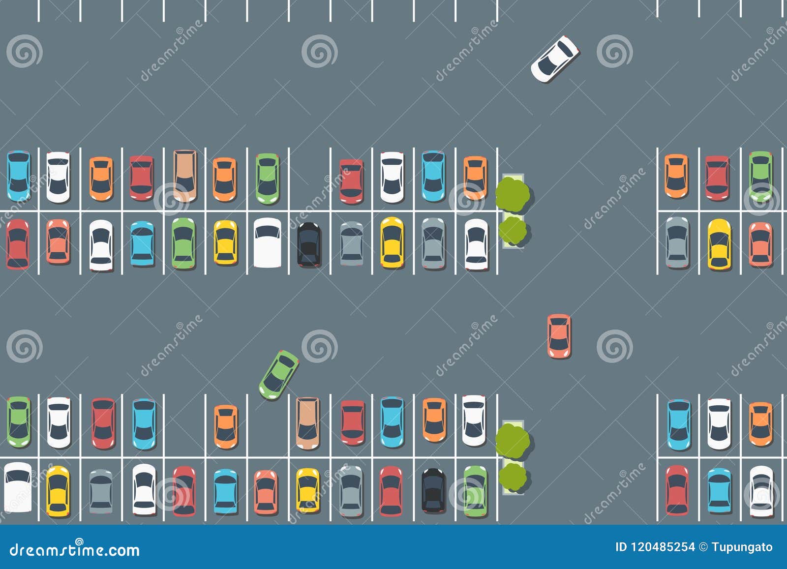 Parking Lot Graphics