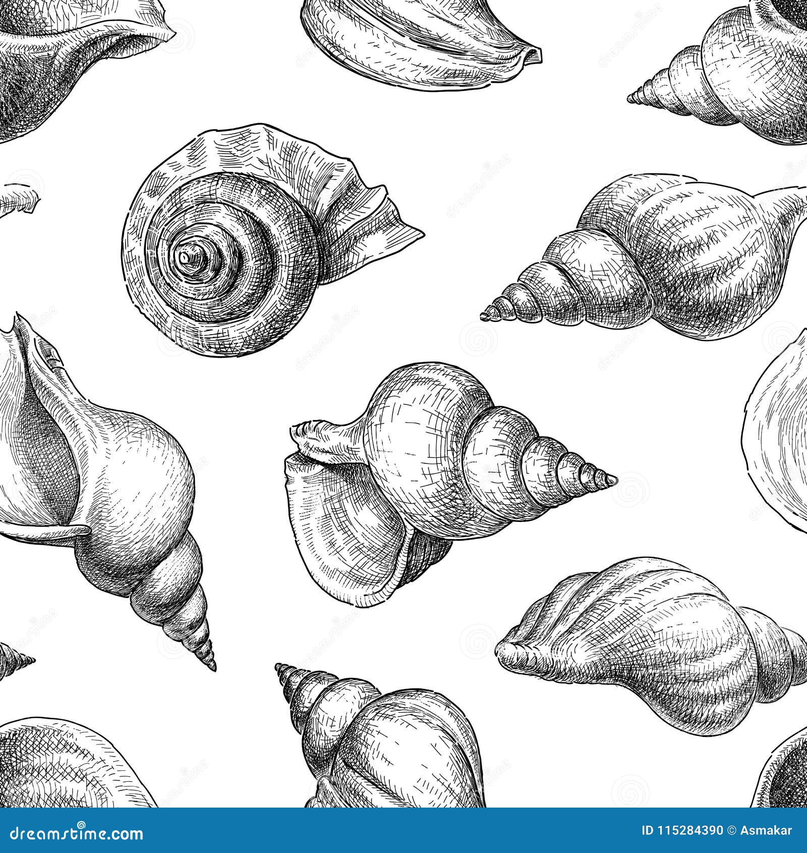 Seamless Background of the Seashells Sketches Stock Vector ...