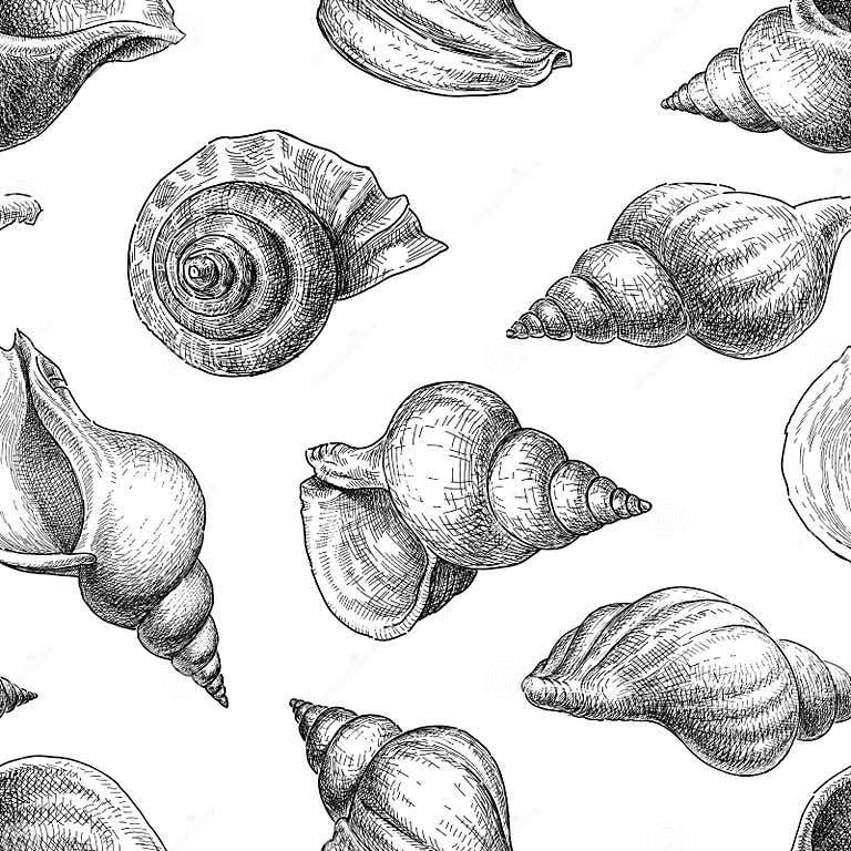 Seamless Background of the Seashells Sketches Stock Vector ...