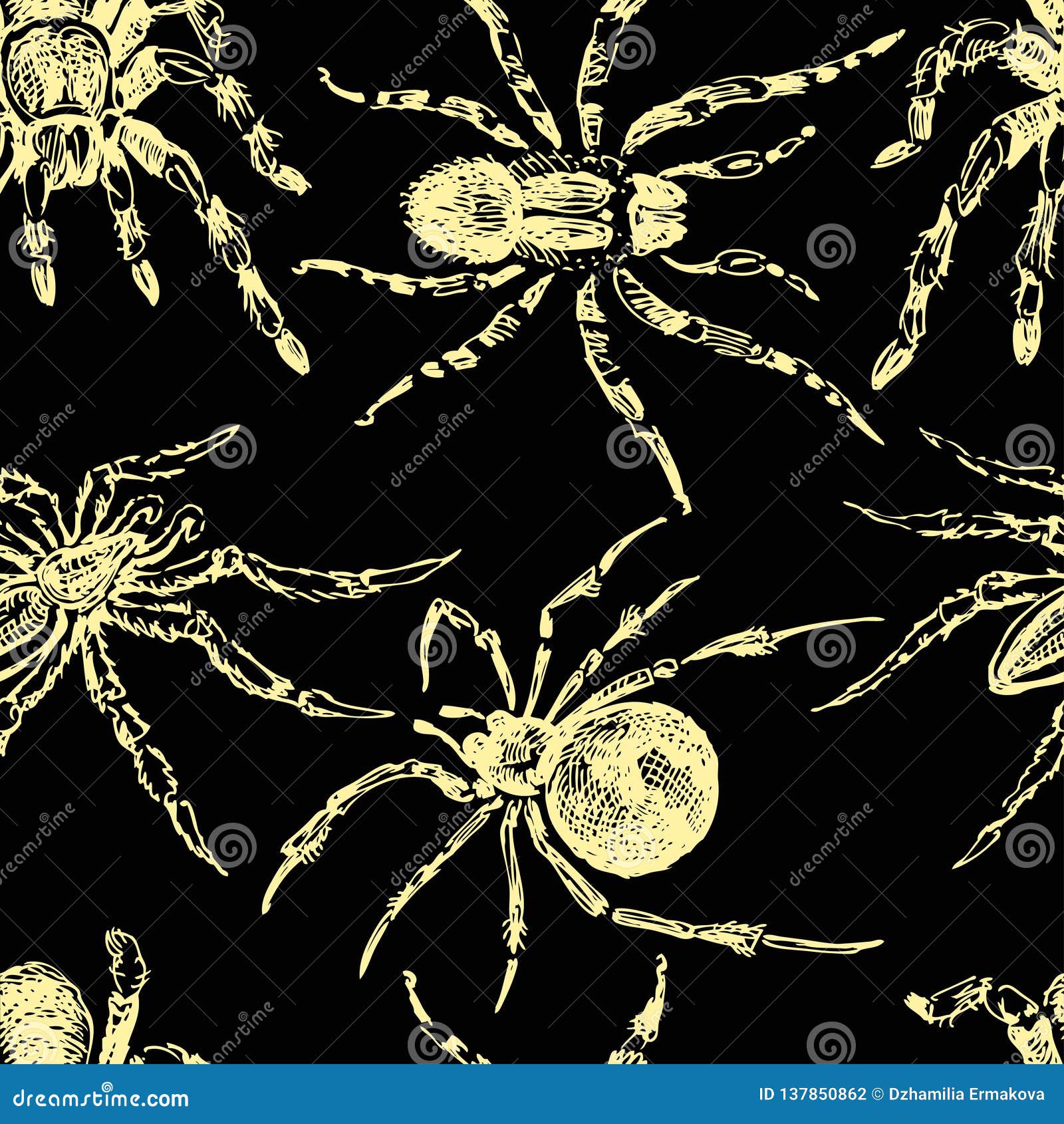 Seamless Background of Sketches of Poisonous Spiders Stock Vector ...