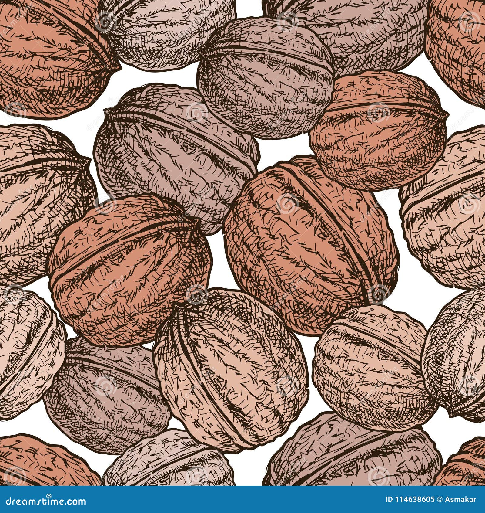 Seamless Background of the Ripe Walnuts Stock Vector - Illustration of ...