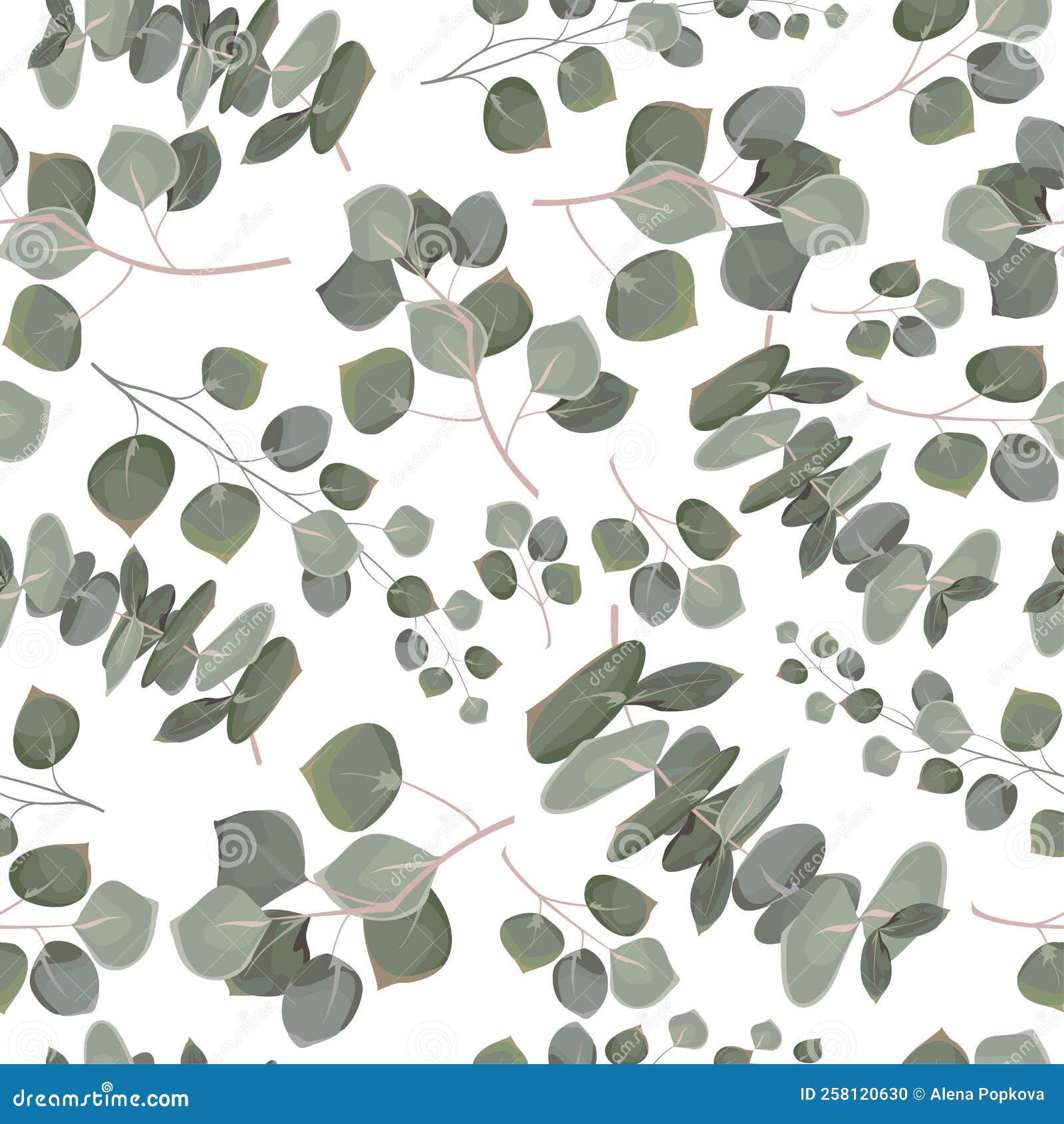 Vector Pattern. Eucalyptus on White Background Stock Vector ...
