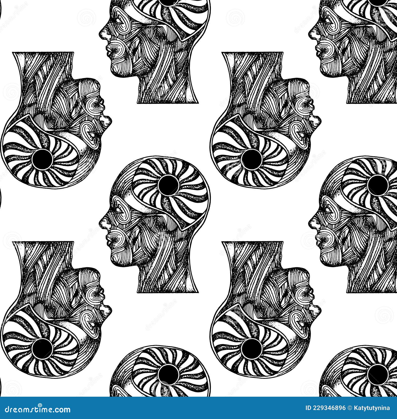 Head Muscles Lateral Color Cartoon Vector | CartoonDealer.com #88352303