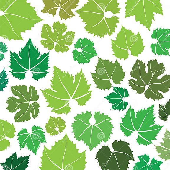 Pattern with Wine Grape Leaves Stock Vector - Illustration of nature ...