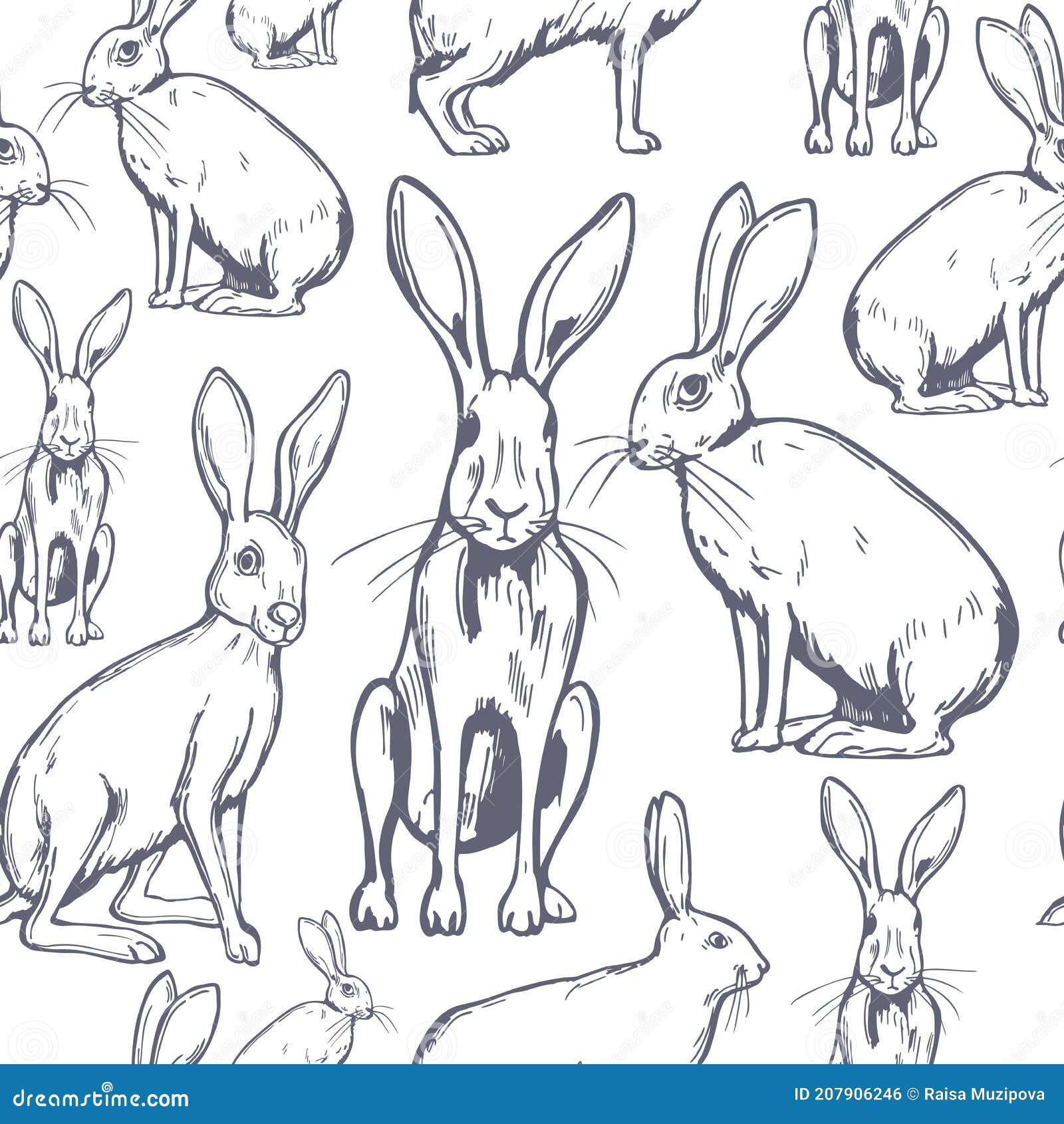 Vector pattern with hares stock vector. Illustration of lepus - 207906246