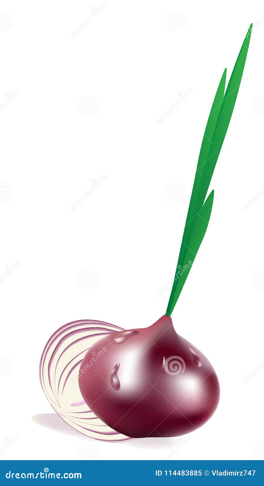 Vector Pattern of Red Onions with Leaves Stock Vector - Illustration of ...