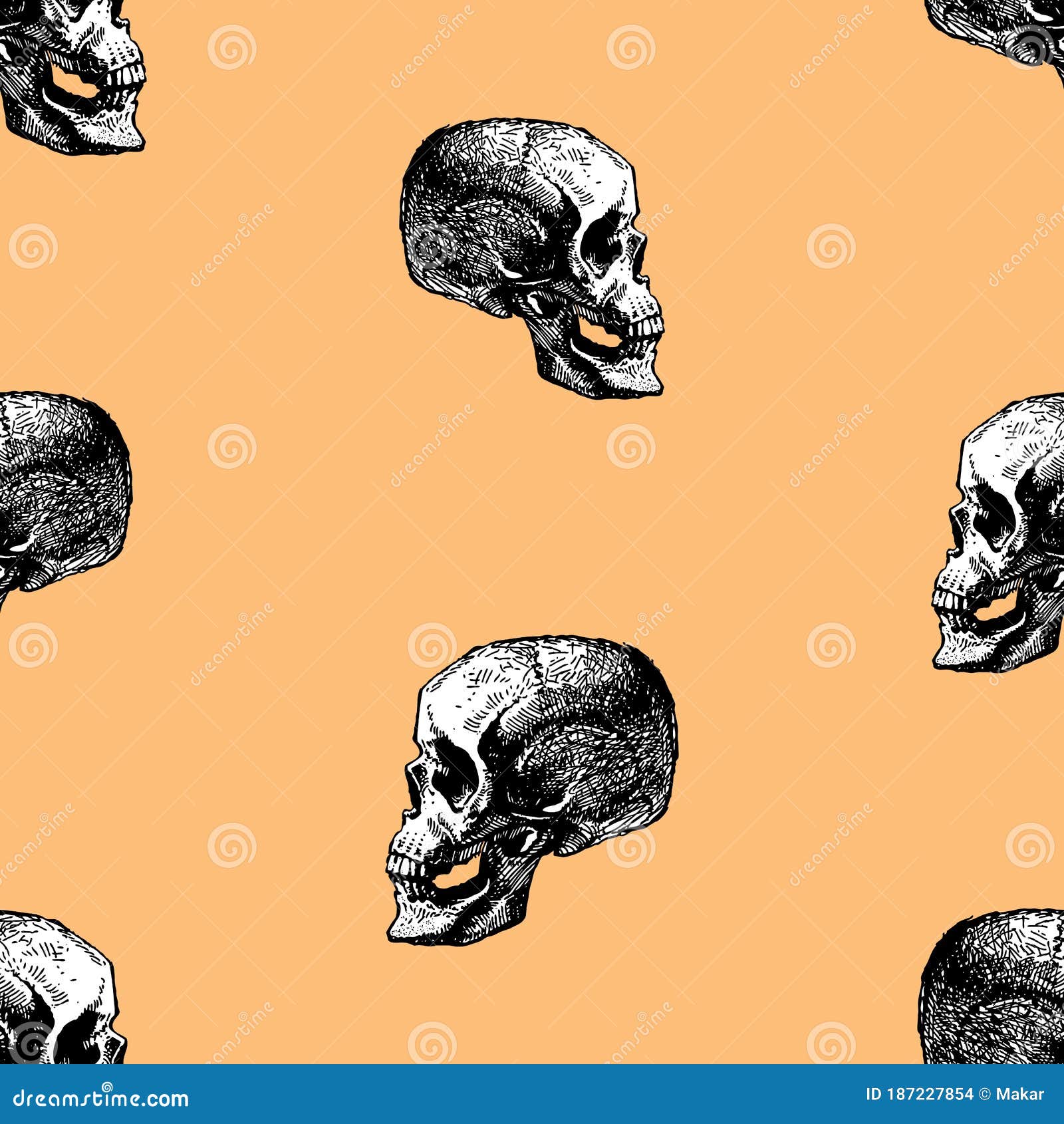 Seamless Background of Profile Human Skulls Sketches Stock Vector ...