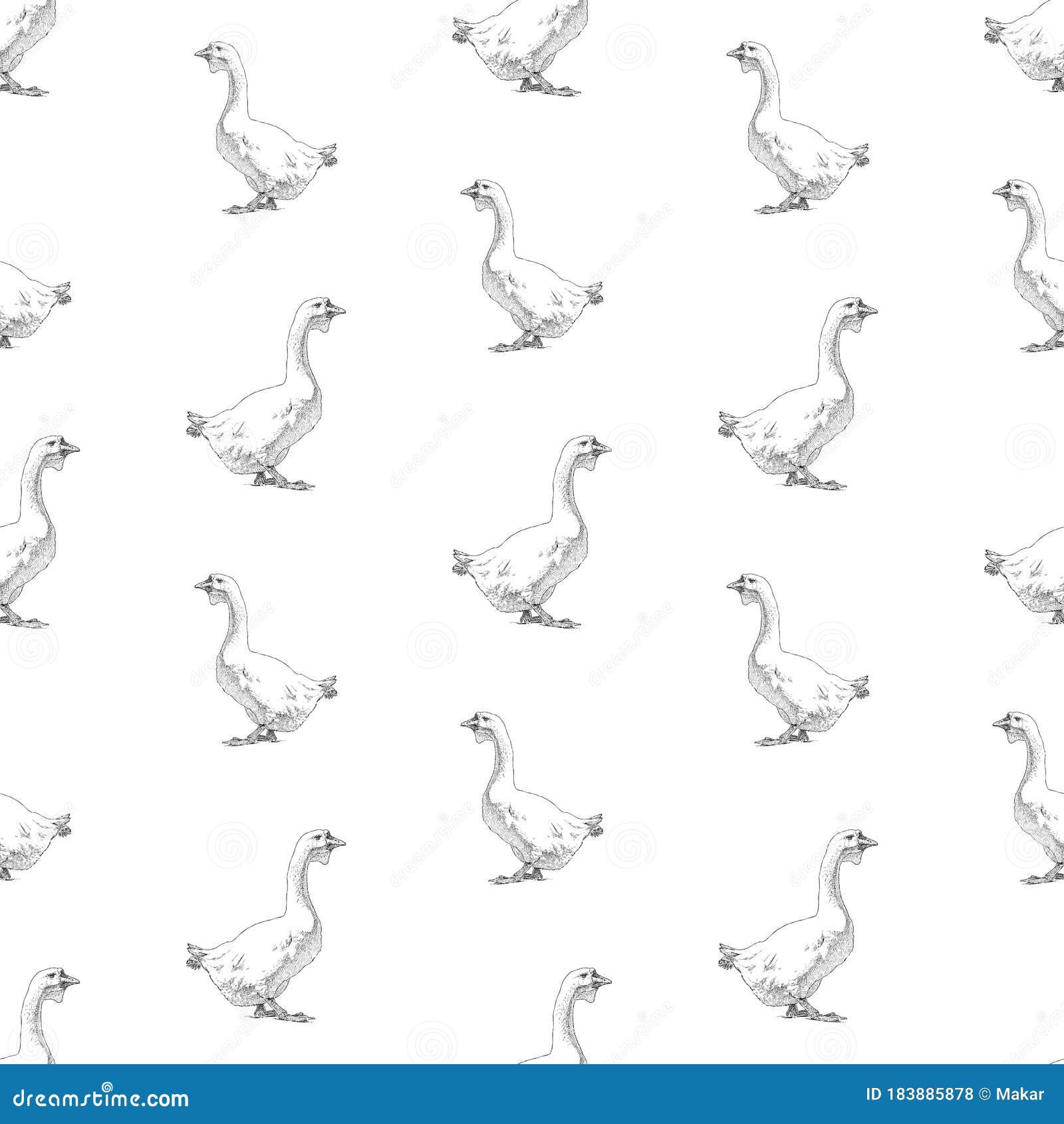 Walking White Hen And Chicks Animation Sprite Sheet Isolated On White ...