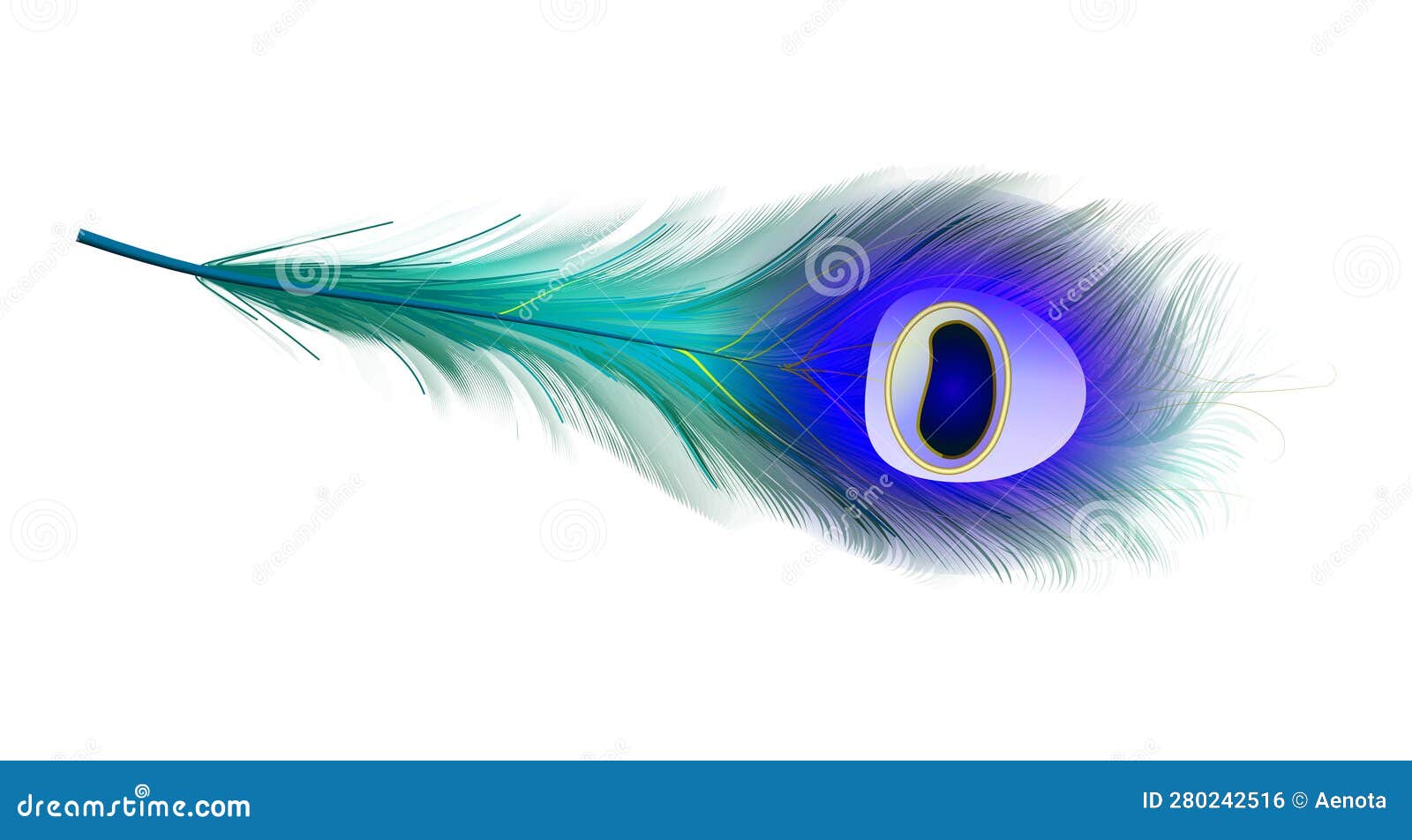 Vector Peacock Feather Stock Vector Illustration Of Plumage 280242516