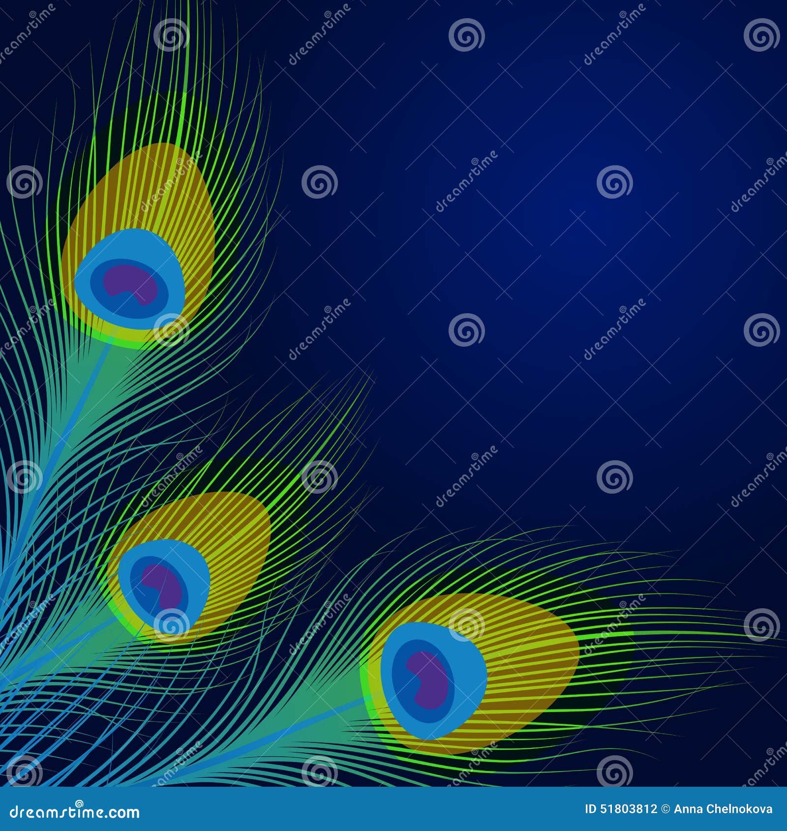 Peacock Color Background