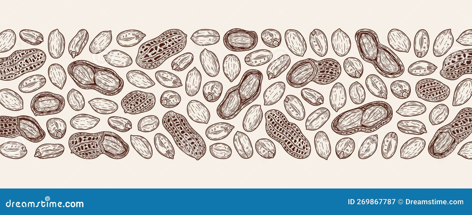 Vector Peanuts Banner, Peanuts Icons Stock Vector - Illustration of ...