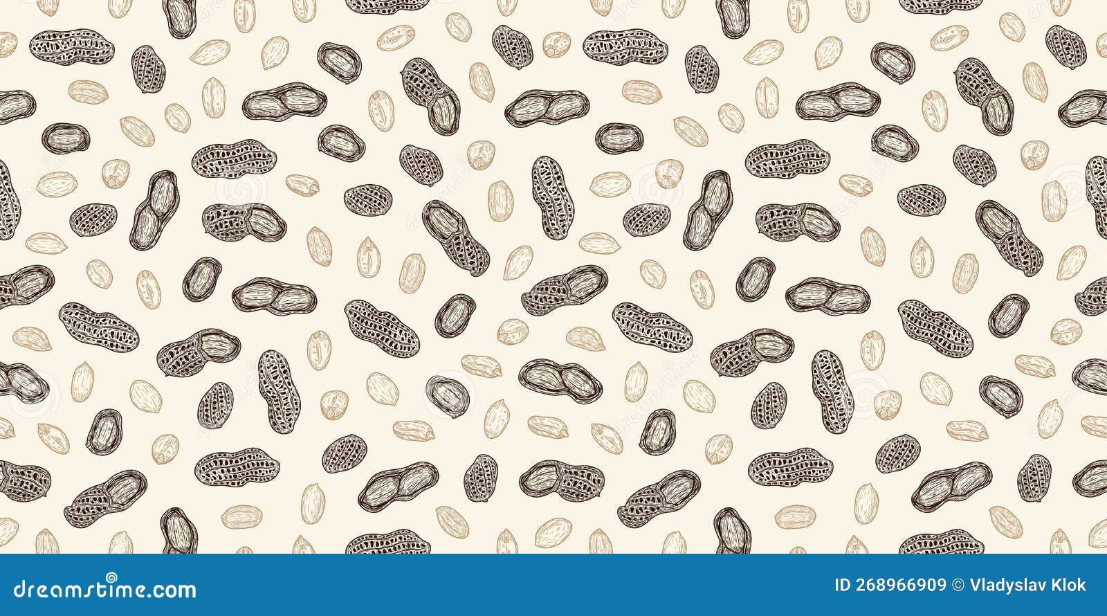 Vector Peanut Shells and Seeds Seamless Pattern Stock Vector ...