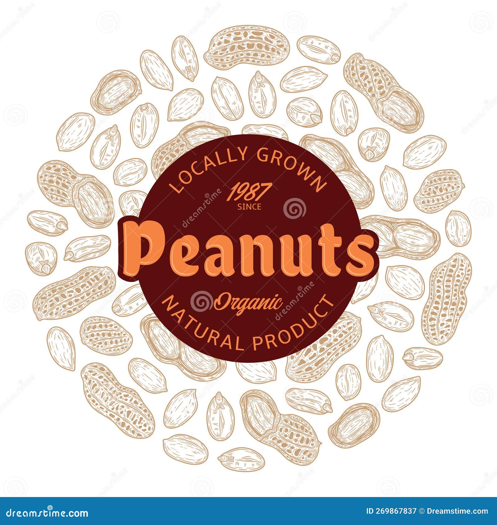 Vector Peanuts Label, Peanut Seeds and Shells Icons Stock Vector ...