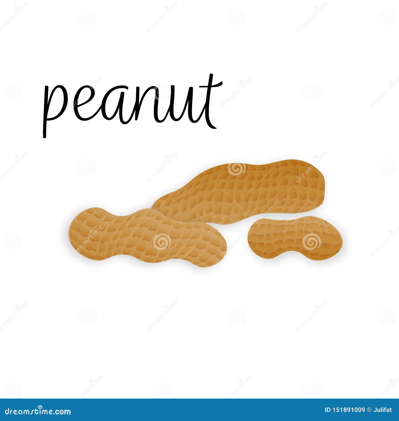 Vector Peanuts in Realistic Style on White Background for Template ...