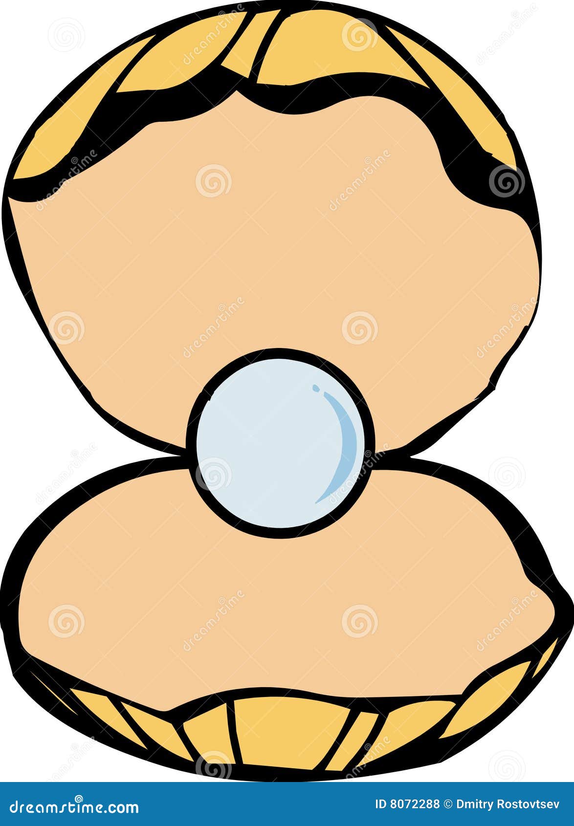 Vector pearl in shell stock vector. Illustration of mollusk - 8072288
