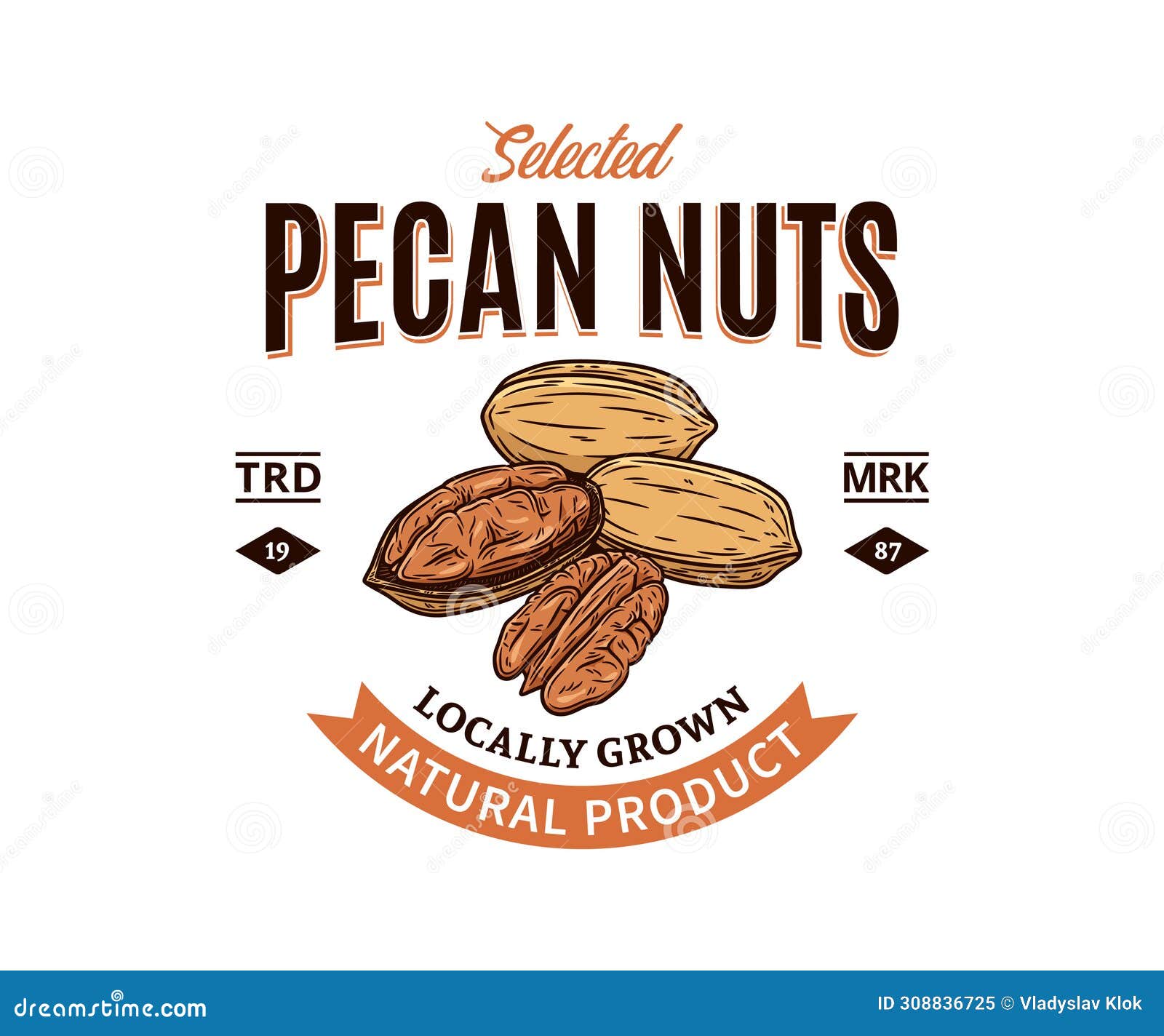 Vector Pecan Nut Logo | CartoonDealer.com #308836730