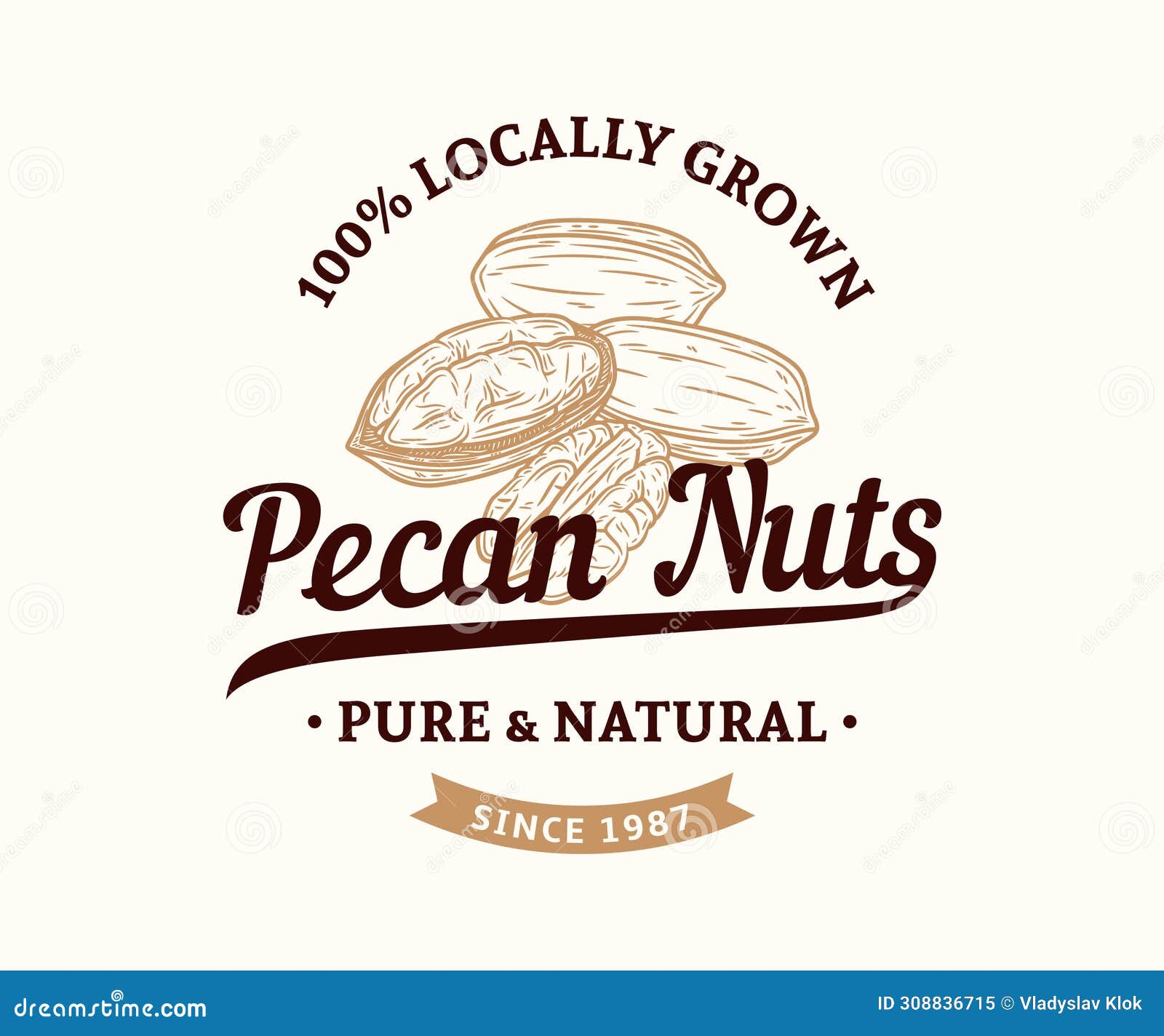 Vector pecan nut logo stock vector. Illustration of culinary - 308836715