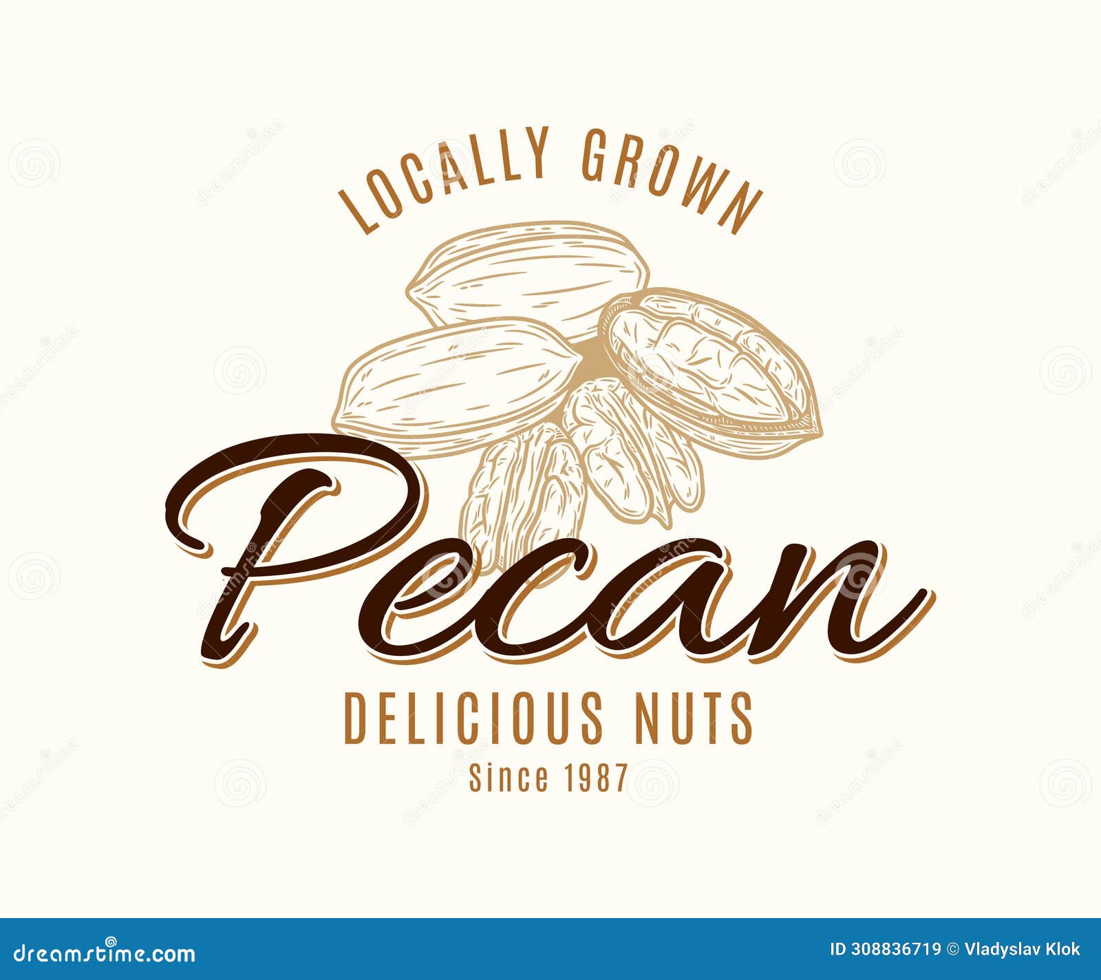 Vector pecan nut logo stock vector. Illustration of sweet - 308836719