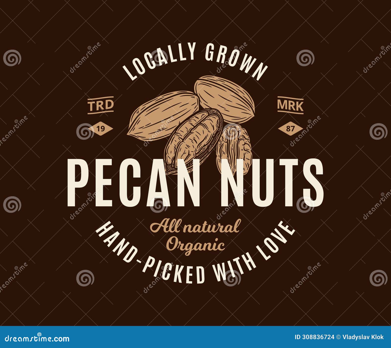 Vector Pecan Nut Logo | CartoonDealer.com #308836730