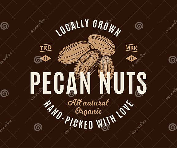 Vector pecan nut logo stock vector. Illustration of plant - 308836724