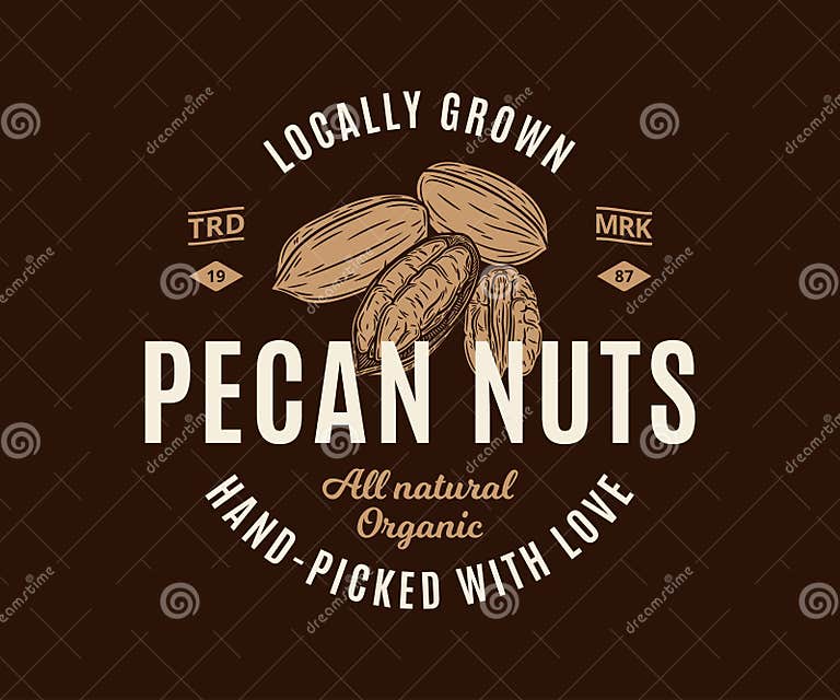 Vector pecan nut logo stock vector. Illustration of plant - 308836724