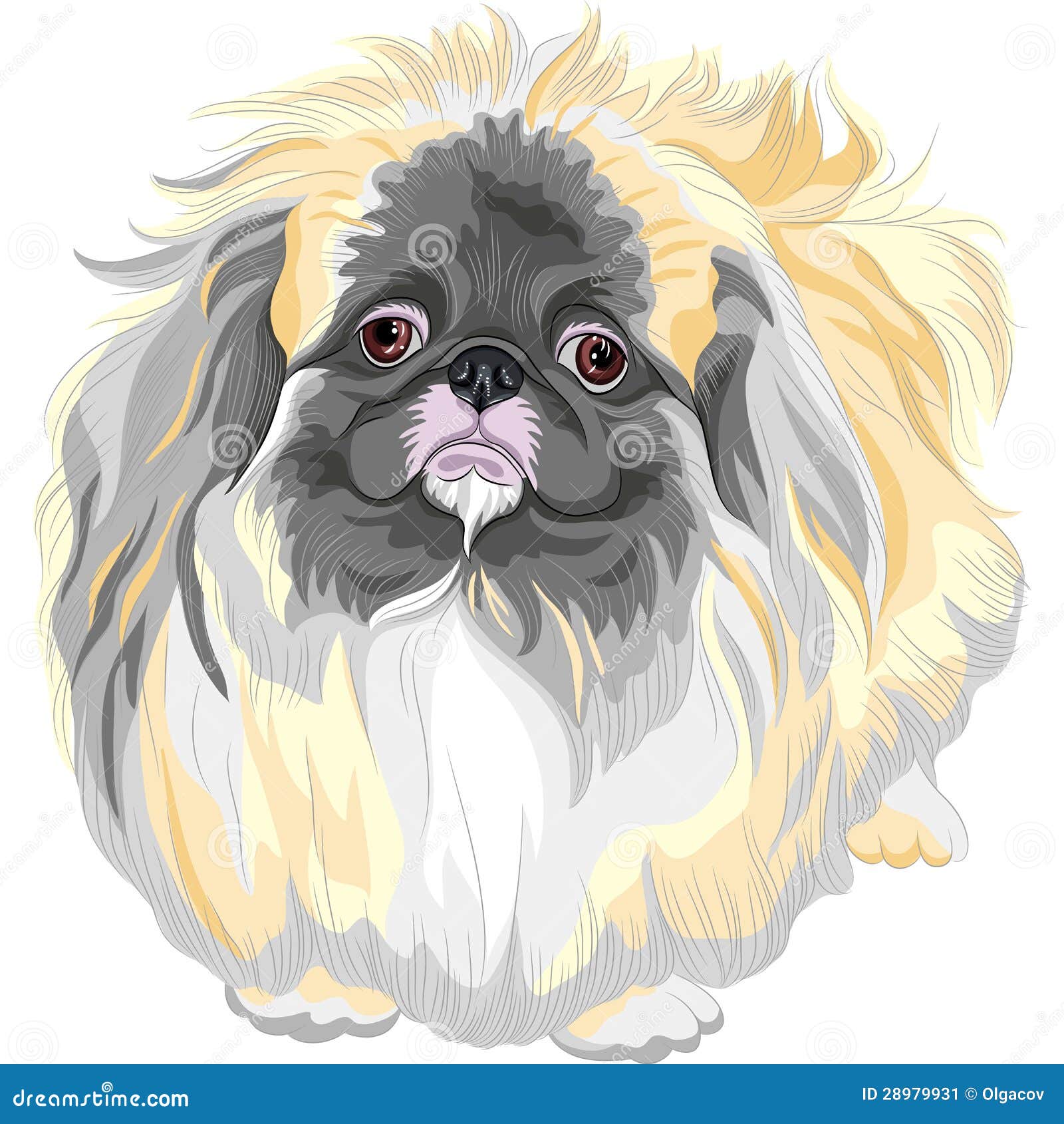 Pekingese Cartoons, Illustrations & Vector Stock Images - 2461 Pictures ...
