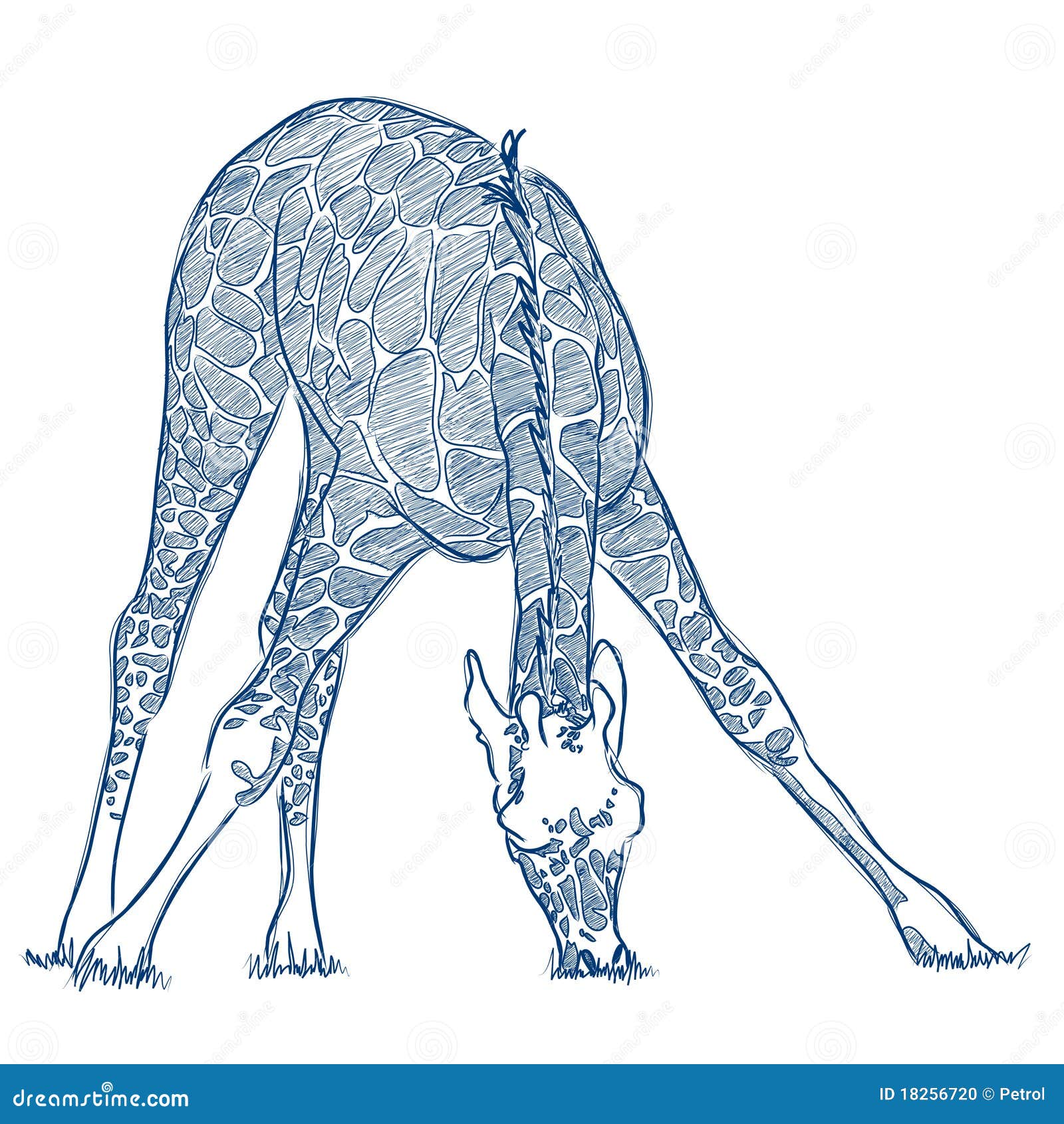 Vector Pen Sketch of a Giraffe Stock Vector - Illustration of neck ...