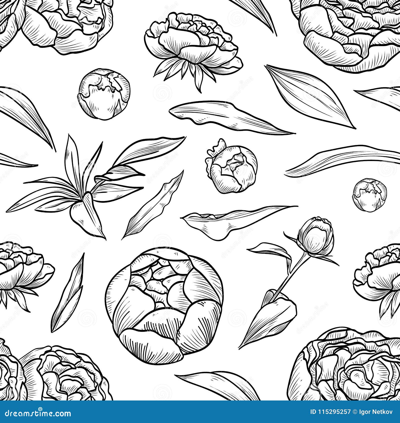 Vector Peony Seamless Pattern of Flowers Stock Vector - Illustration of ...