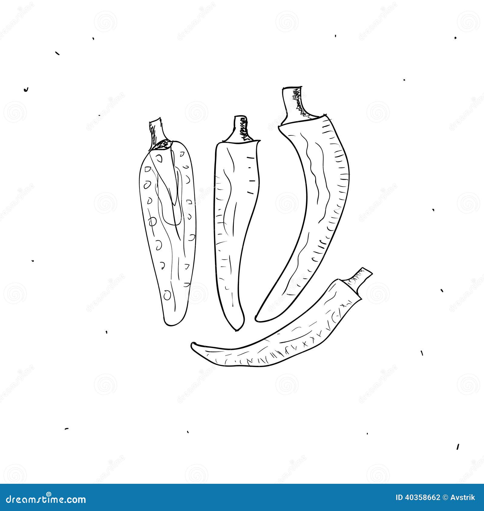 Vector pepper sketch. stock vector. Illustration of decoration - 40358662