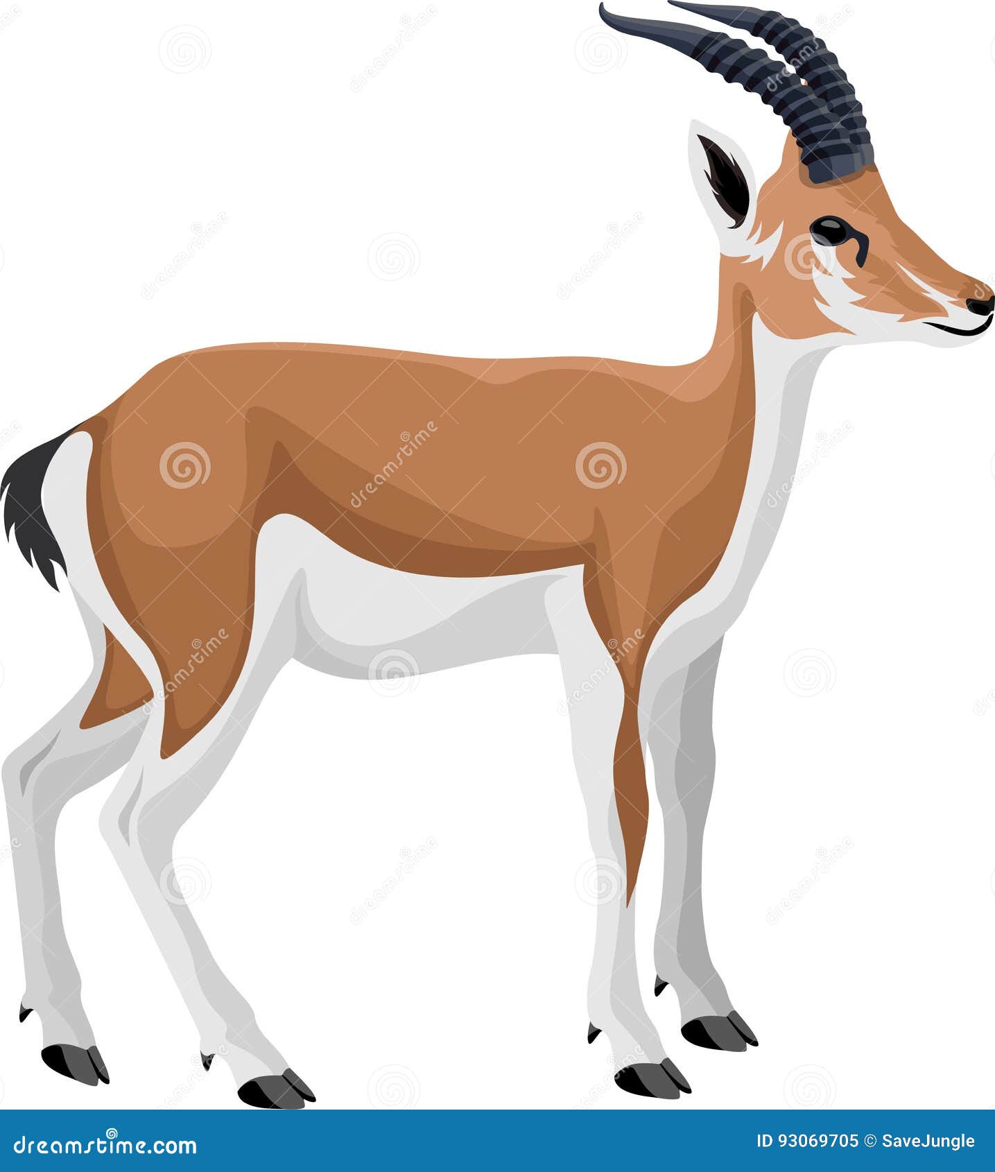 Impala Stock Illustrations – 402 Impala Stock Illustrations, Vectors ...