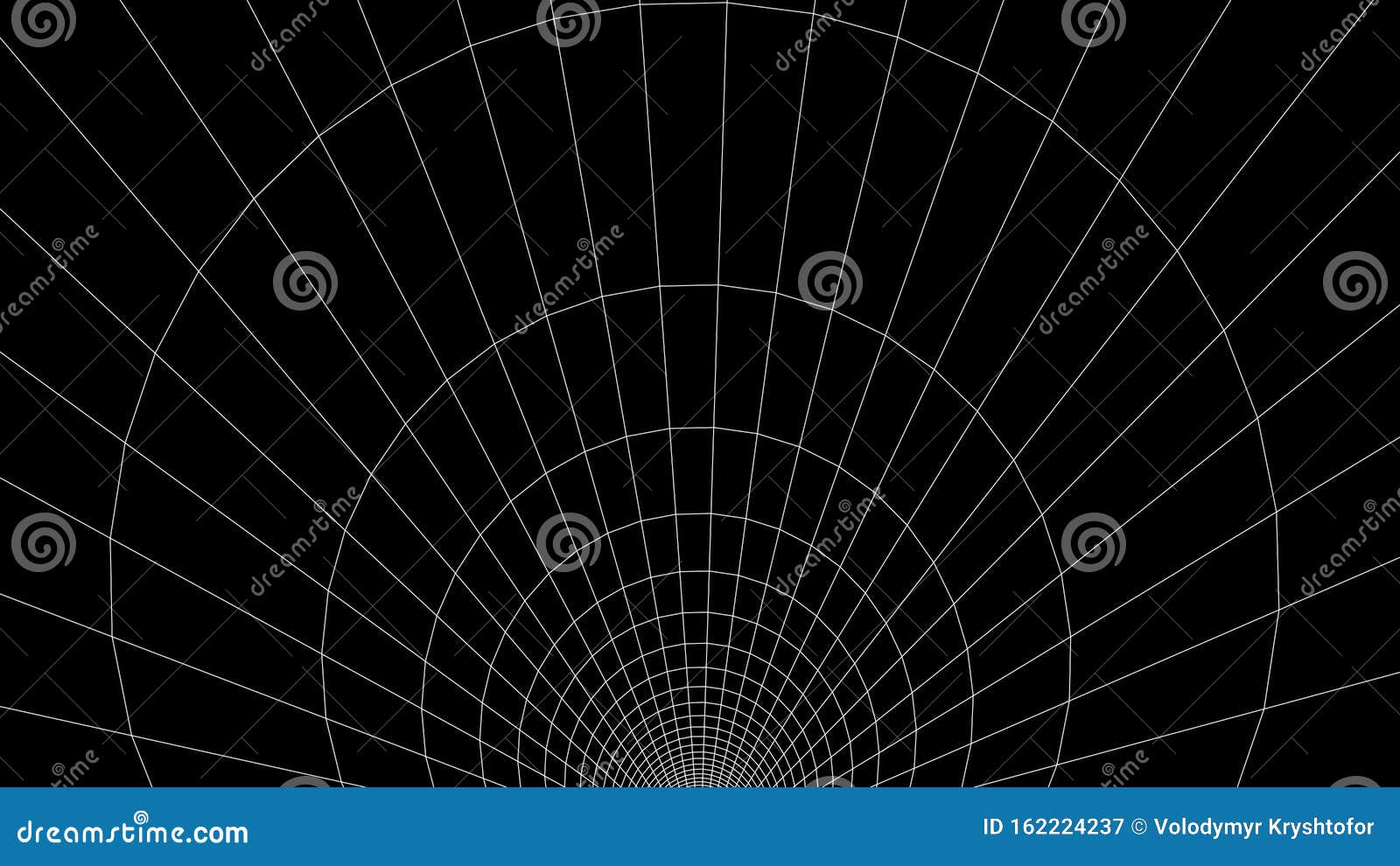 Vector Perspective Grid with a Circular Structure. Detailed Lines on ...