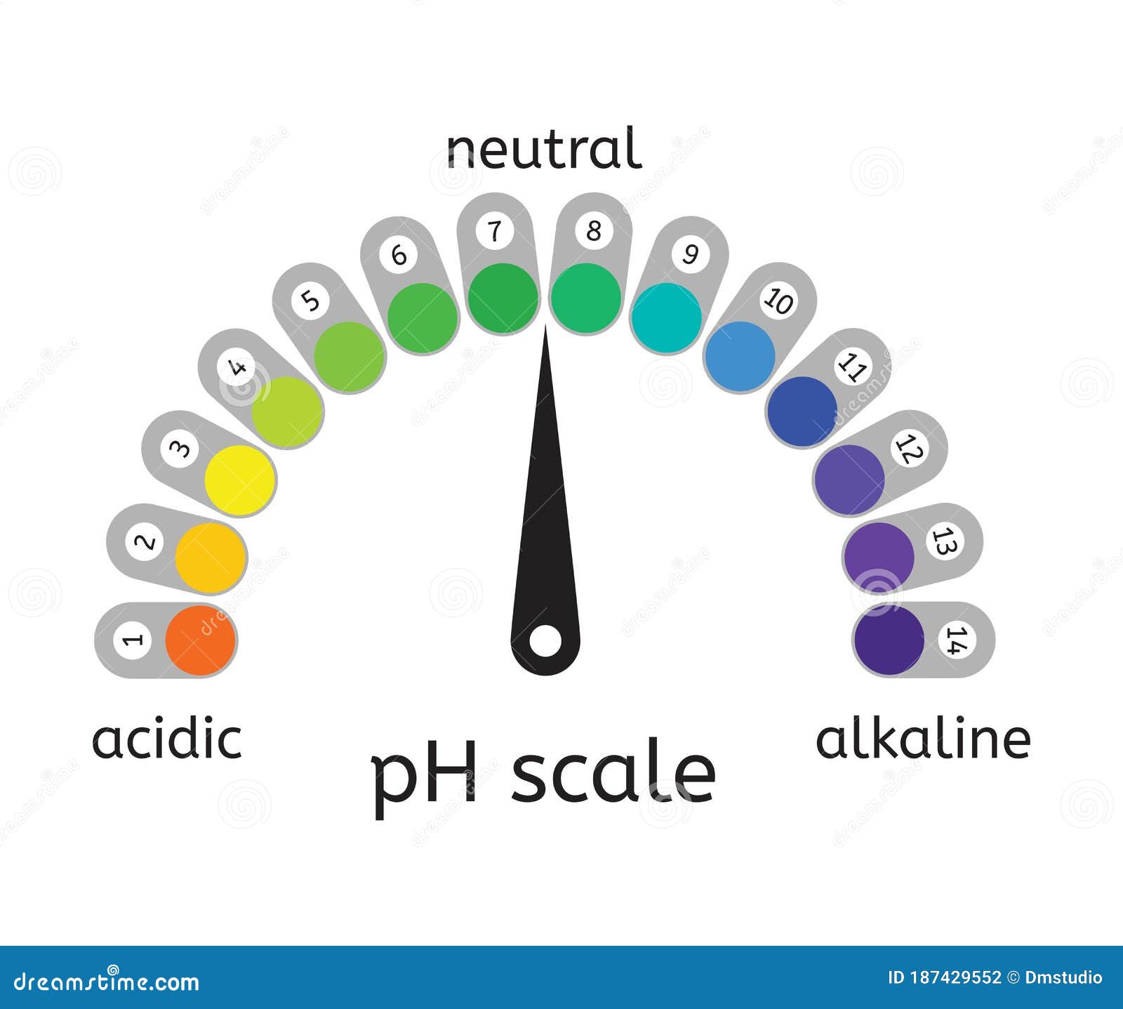 PH Scale. Litmus Paper Color Chart. Vector Illustration | CartoonDealer ... PH Scale. Litmus Paper Color Chart. Vector Illustration | CartoonDealer ...