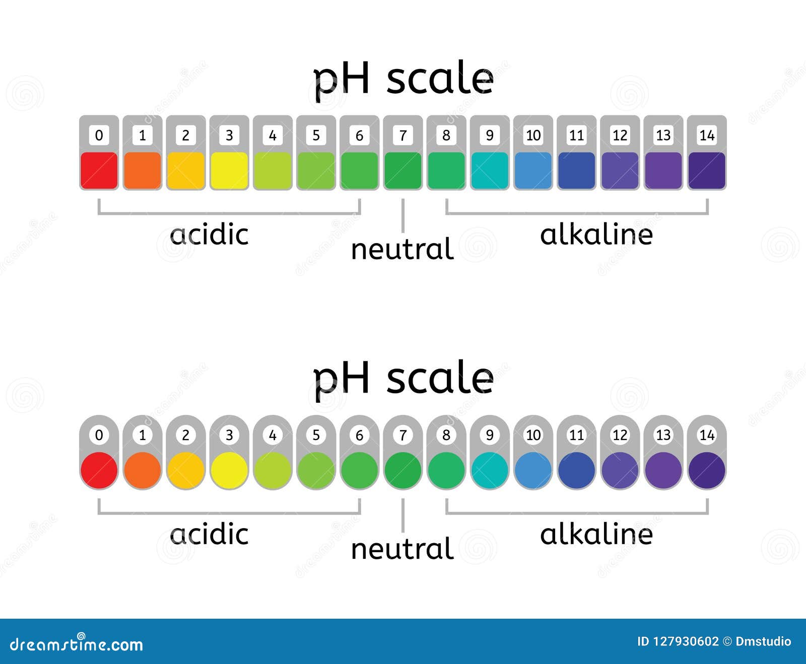 PH Scale. Litmus Paper Color Chart. Vector Illustration | CartoonDealer ... PH Scale. Litmus Paper Color Chart. Vector Illustration | CartoonDealer ...
