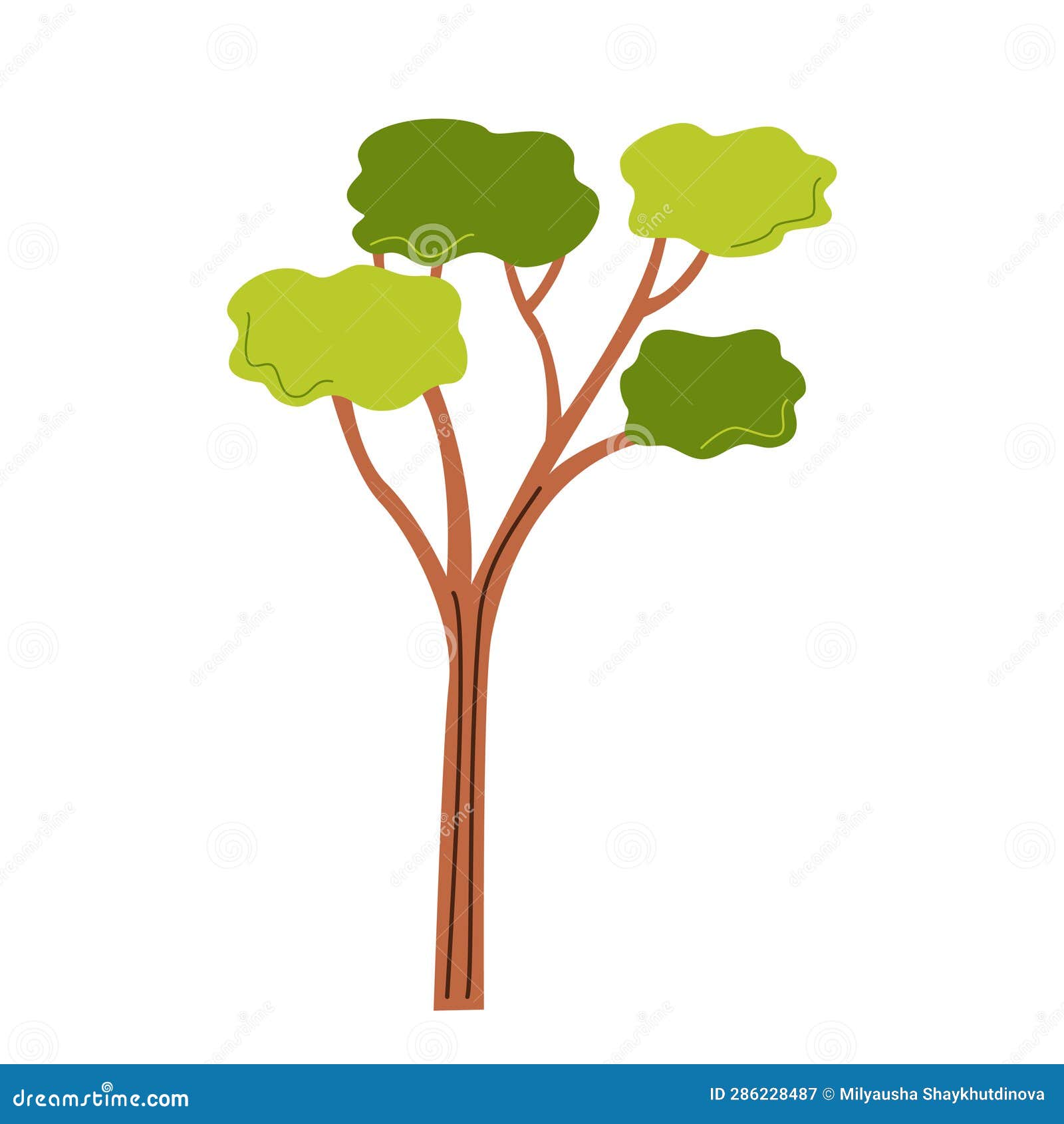 Vector Picture of Cute Green Acacia Tree Isolated on White Background ...