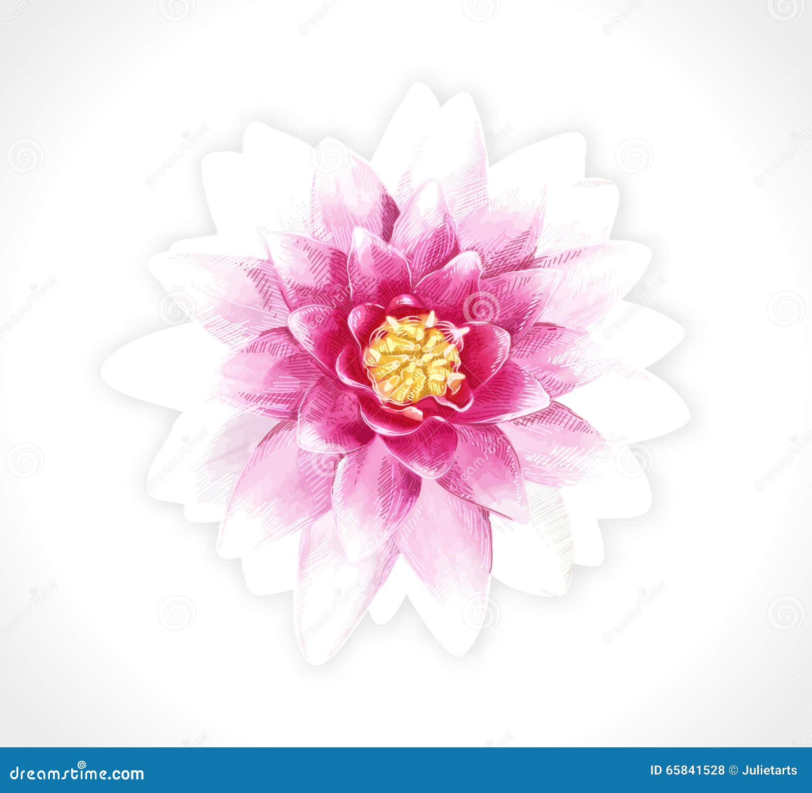 Vector Pink Flower Isolated. EPS10. Stock Vector - Illustration of rose ...