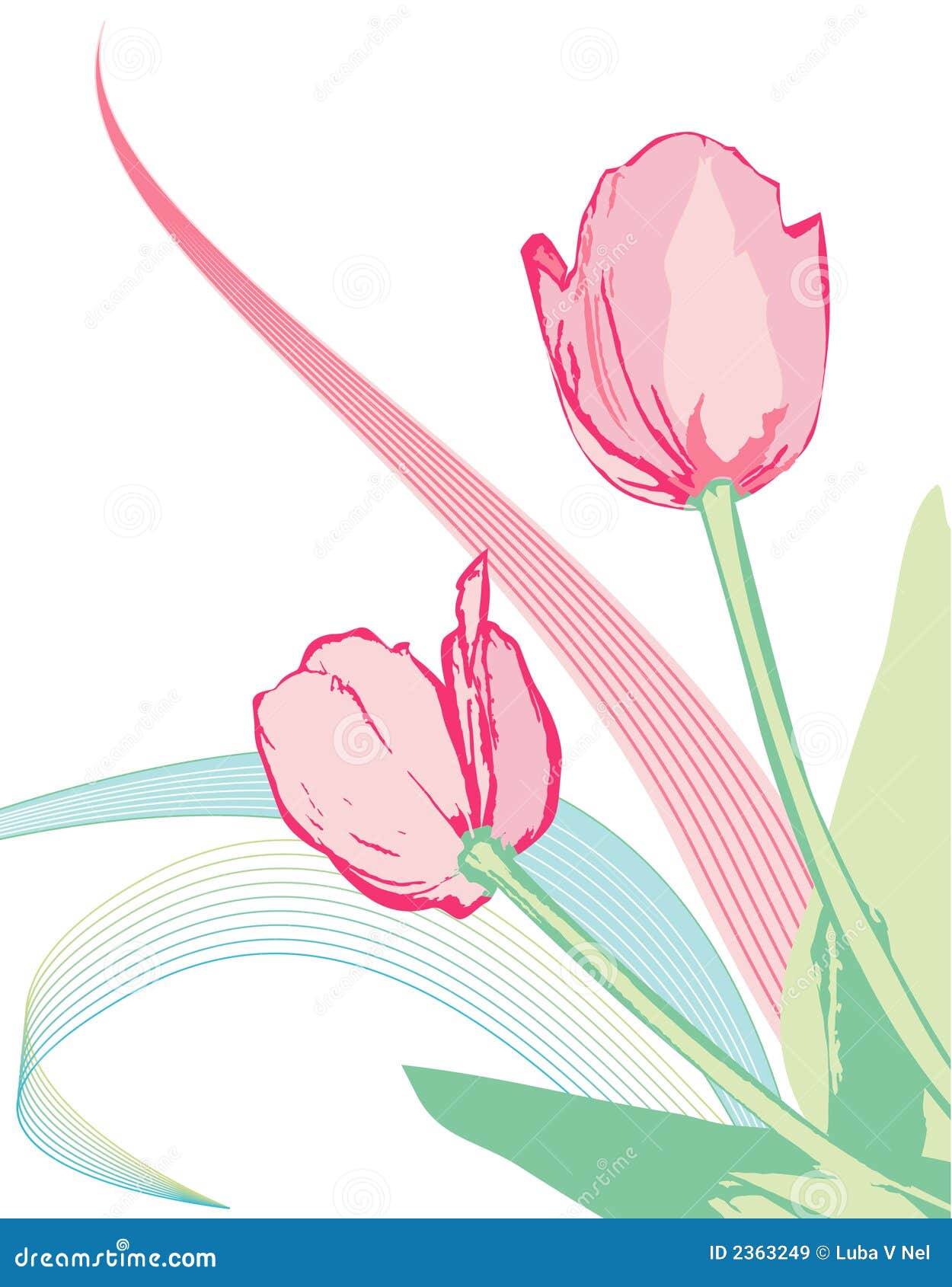 Vector pink tulips stock vector. Illustration of feminine - 2363249