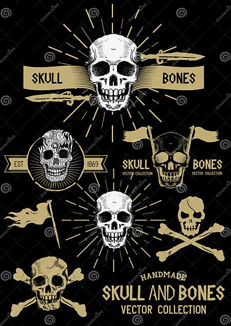 Vector Pirate Skull and Bones Set Stock Vector - Illustration of ...