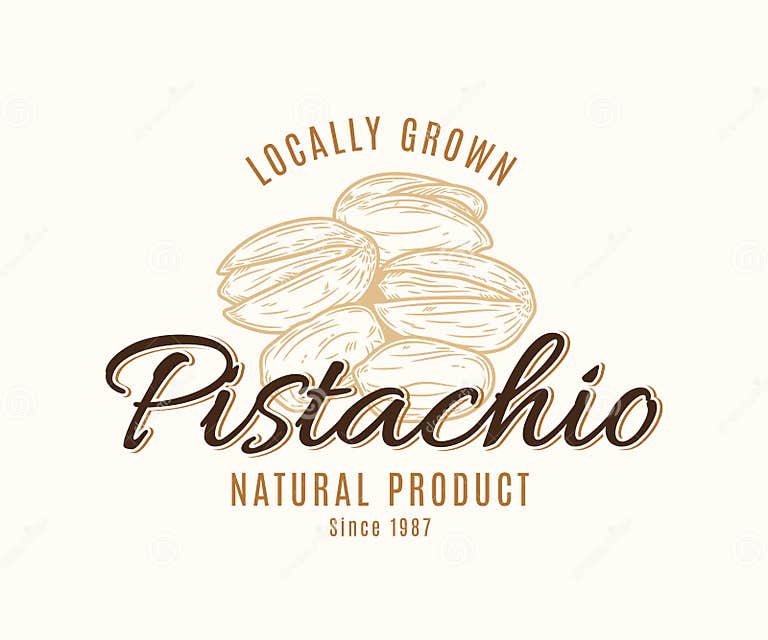 Vector pistachio logo stock illustration. Illustration of icon - 298665304