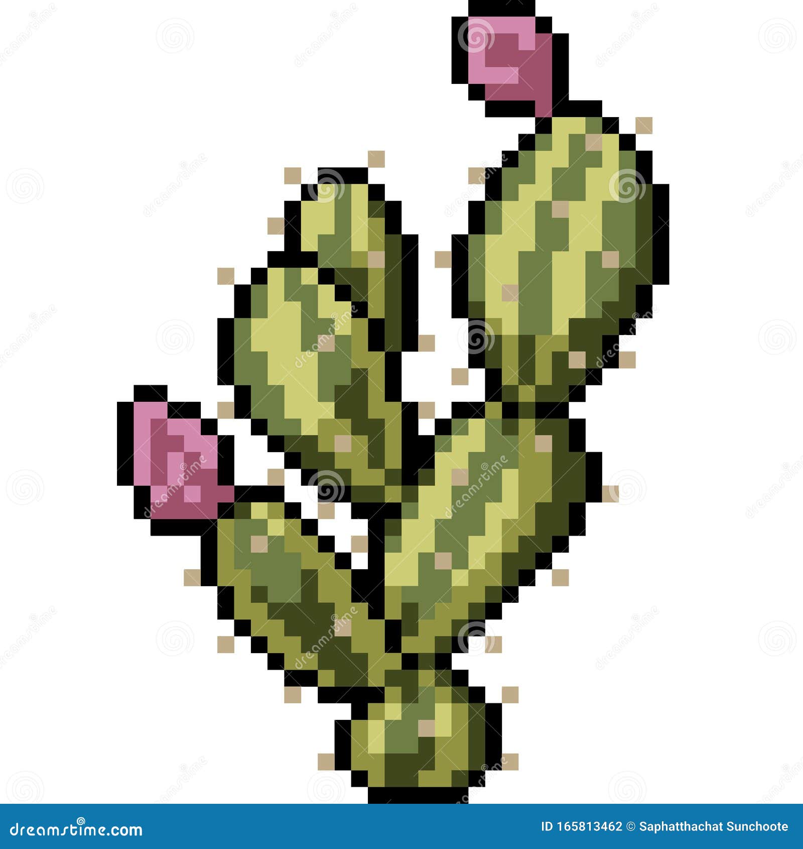 Vector pixel art cactus stock vector. Illustration of white - 165813462