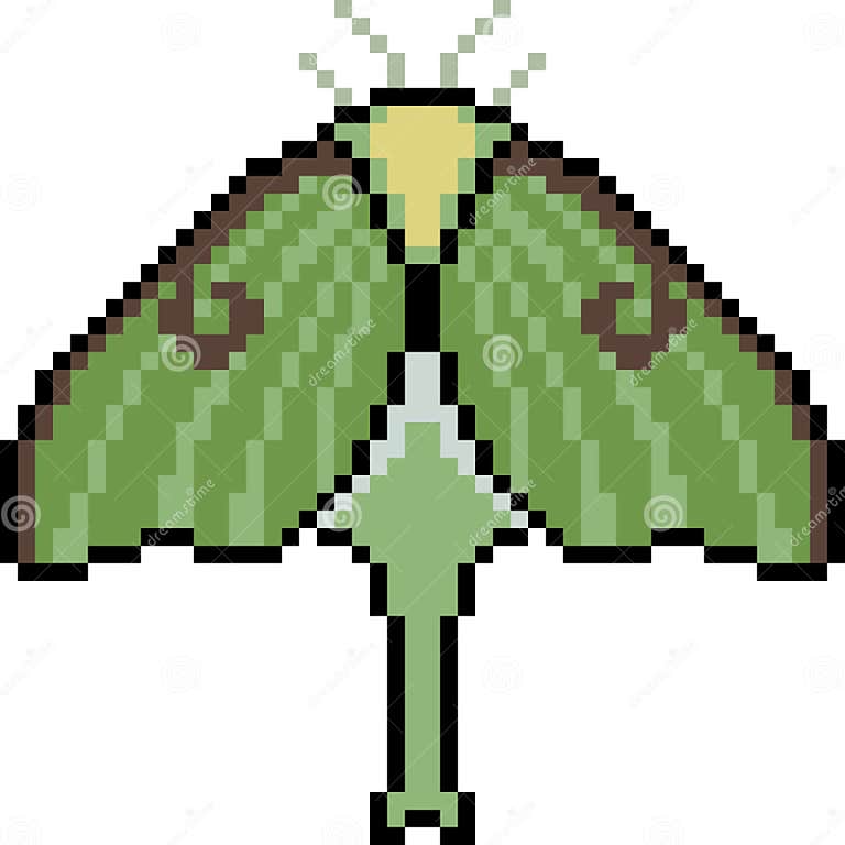 Vector pixel art moth stock vector. Illustration of staff - 109520854
