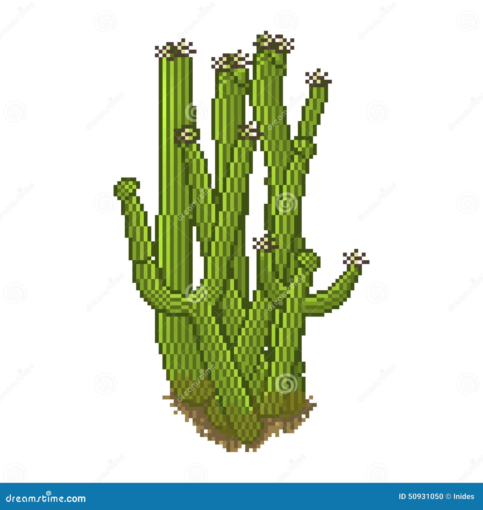 Vector pixel style cactus stock vector. Illustration of indica - 50931050