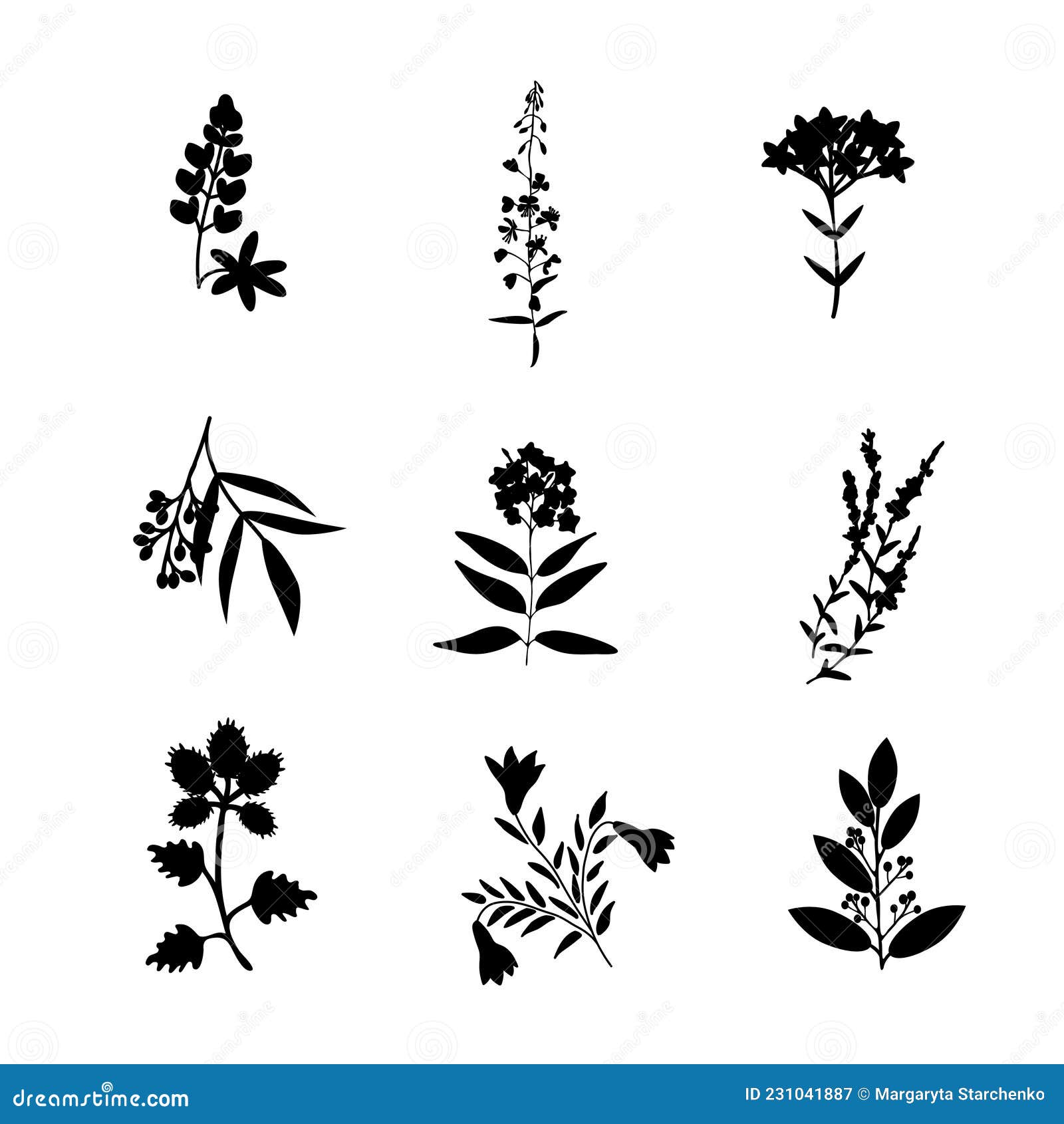 Vector plants set stock vector. Illustration of spring - 231041887