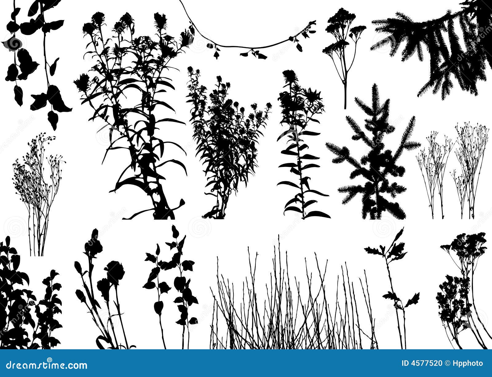 Vector plants silhouettes stock vector. Illustration of elegance - 4577520