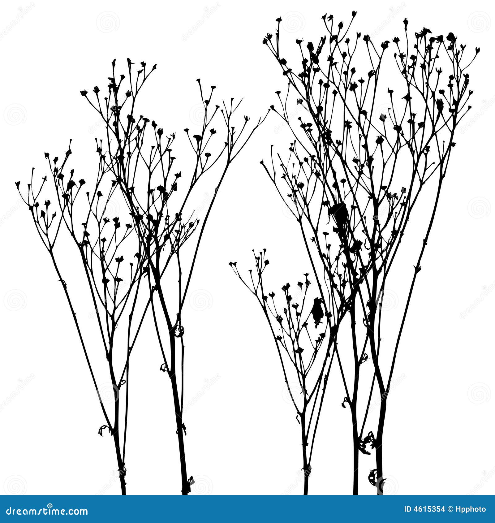 Vector Plants Silhouettes Stock Images - Image: 4615354