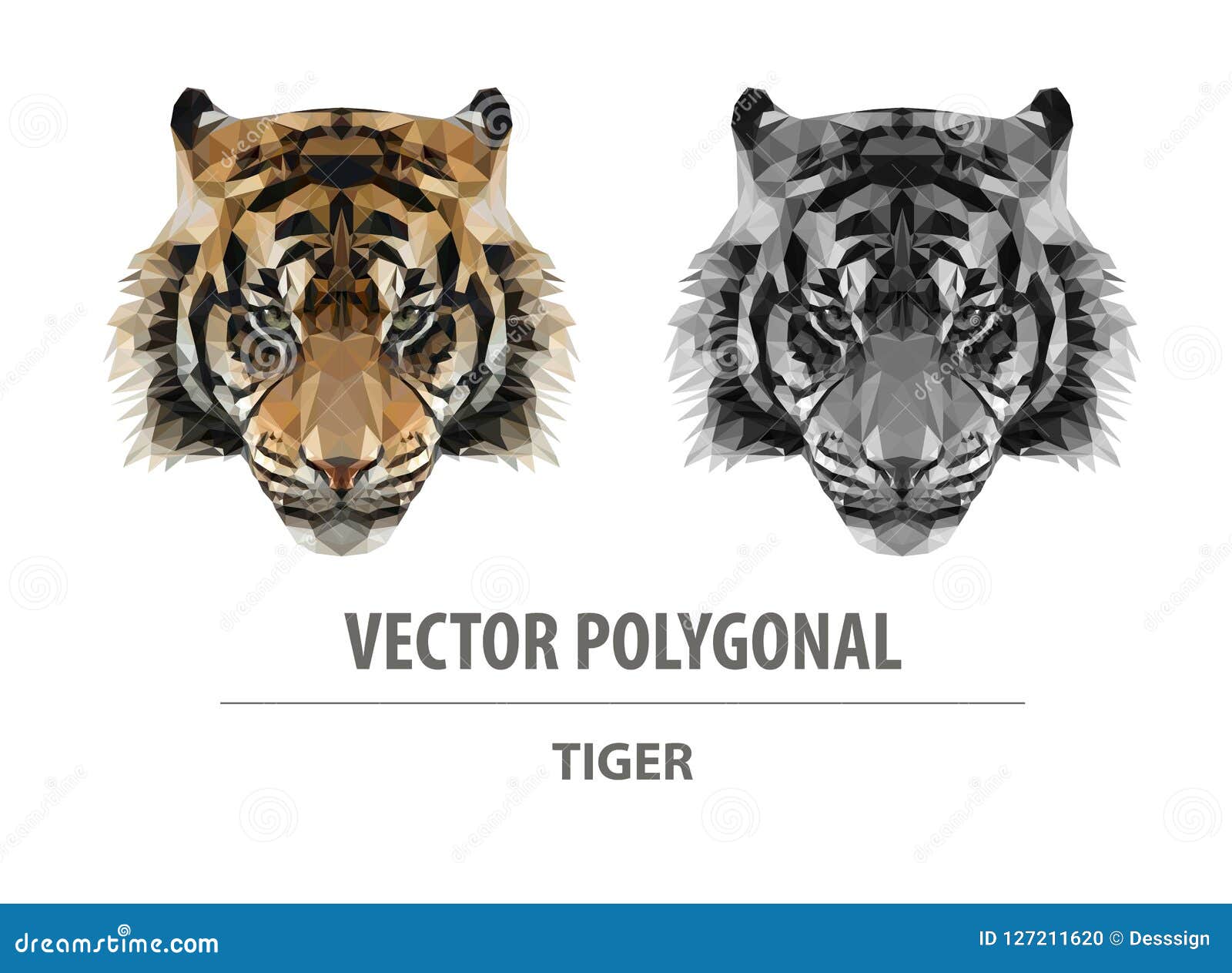 Vector Polygonal Colour Tiger Head. Stock Illustration - Illustration ...