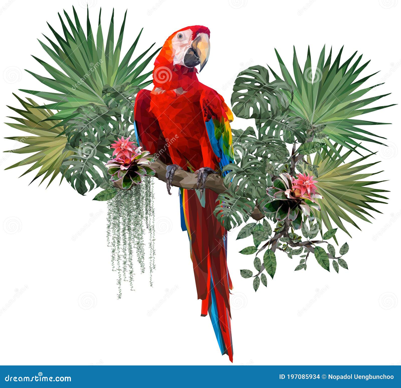 Vector Polygonal Illustrate of Scarlet Macaw Bird Stock Vector ...