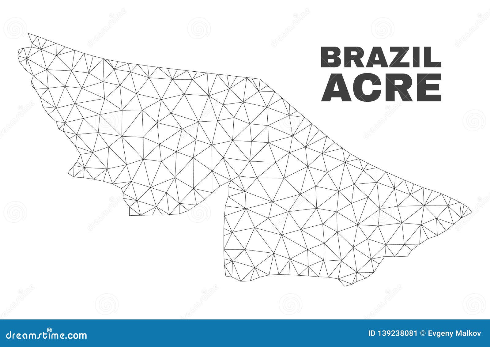 Vector Polygonal Mesh Acre State Map Stock Vector - Illustration of ...