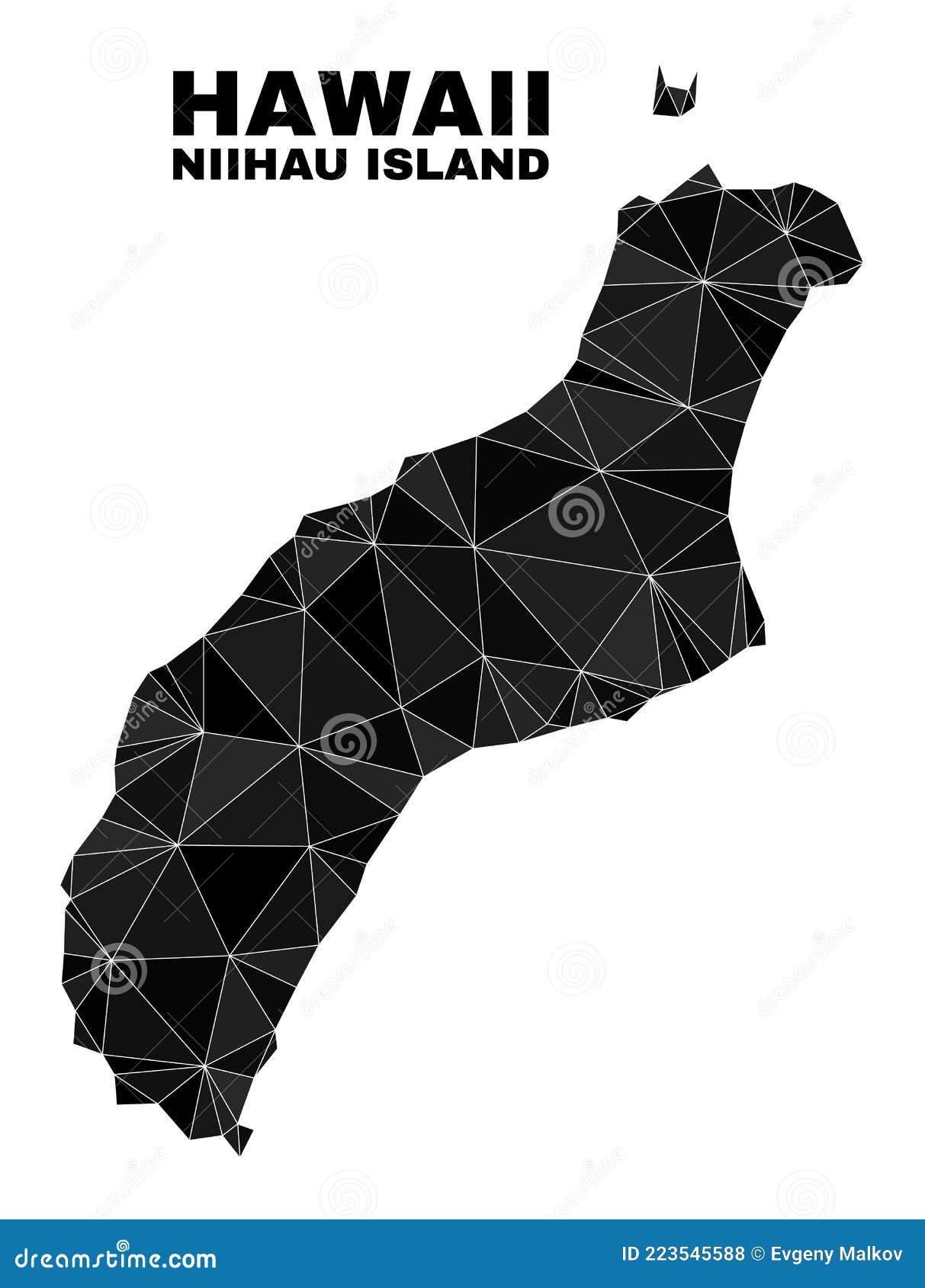 Vector Polygonal Niihau Island Map Stock Vector - Illustration of ...