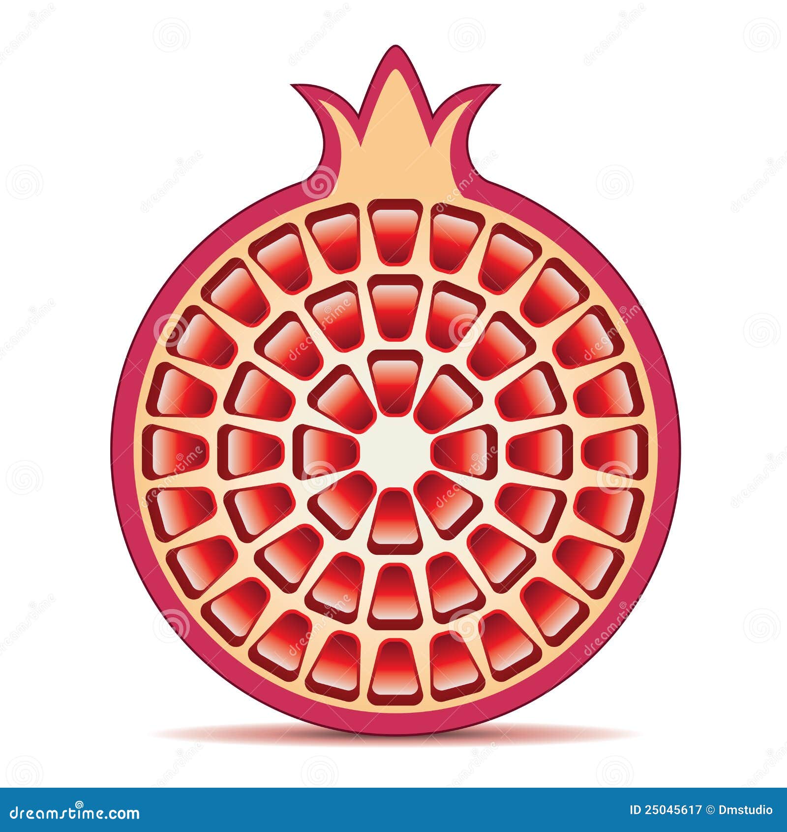 Vector pomegranate stock vector. Illustration of natural - 25045617