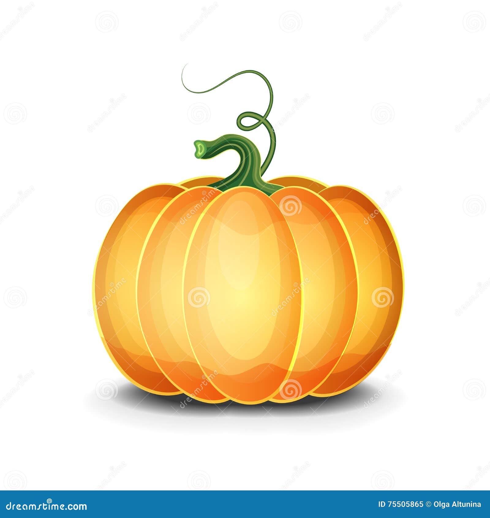 Vector pompoen vector illustratie. Illustration of groen - 75505865